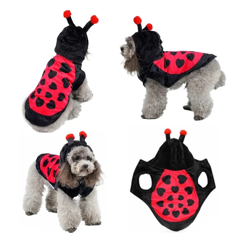 Ladybug Dog Costume