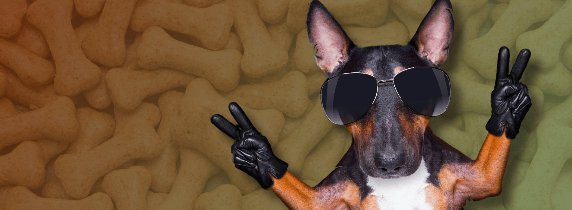 Premium Dog Apparel and More | DogLooksGood©